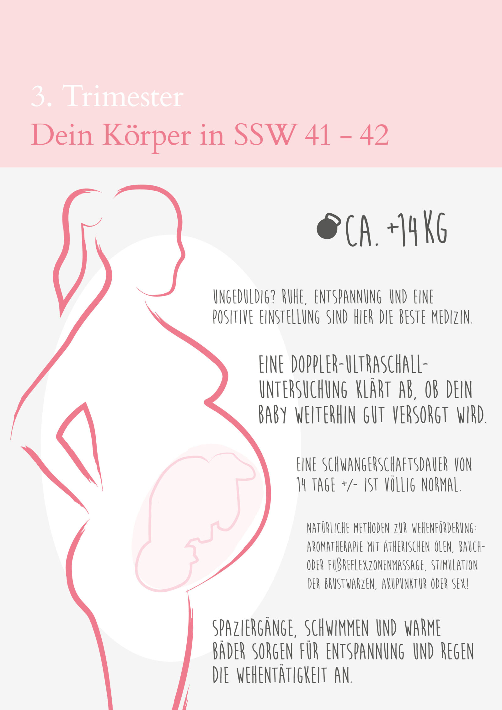 Schwangerschaftswoche 41+42