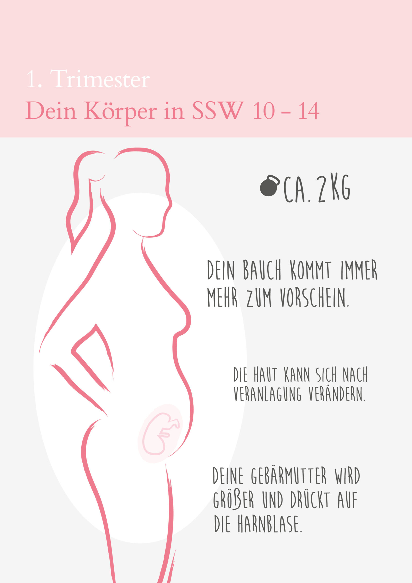 11 Ssw. Und Keine Anzeichen Mehr. – XNCUC